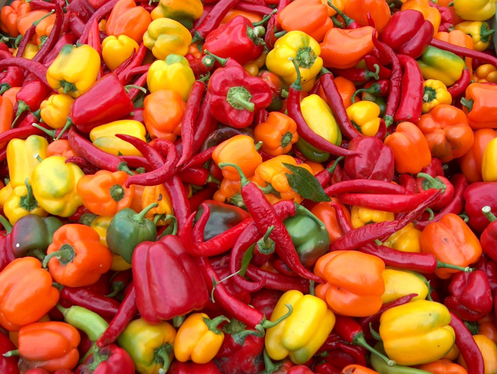 poivrons - Ferme Pulvermühle